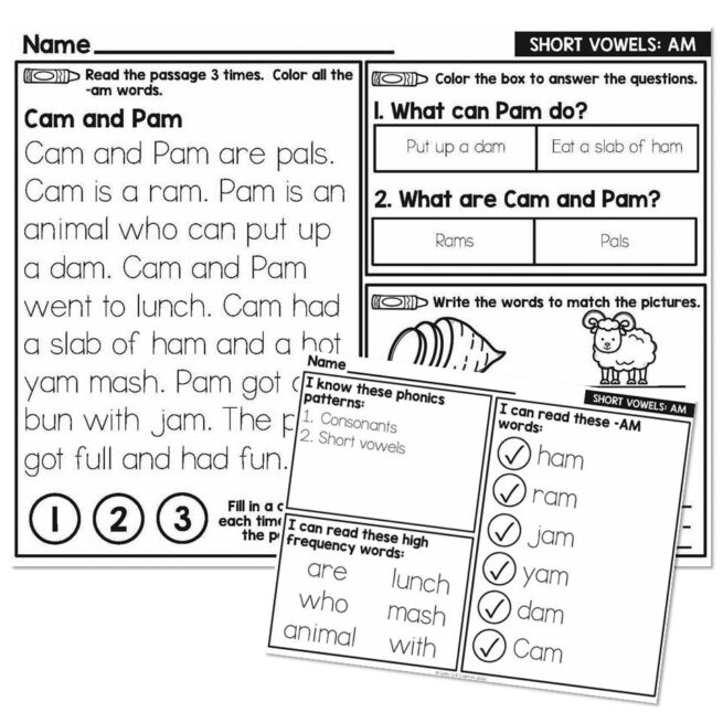 1st Grade Decodable Phonics Passage - Short Vowels - AM - Lucky Little ...