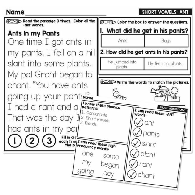 1st Grade Decodable Phonics Passage - Short Vowels - ANT - Lucky Little ...