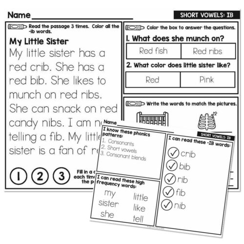 1st Grade Decodable Phonics Passage - Short Vowels - IB - Lucky Little ...