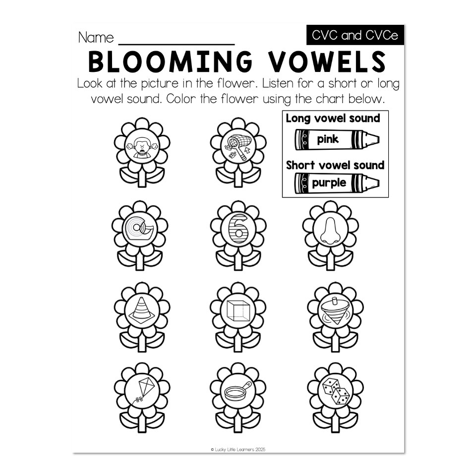 Kindergarten Monthly Worksheets - May Word Reading - CVC and CVCe ...