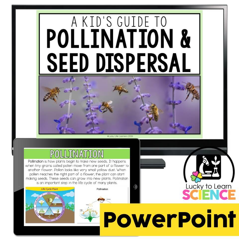 Lucky to Learn Science – Pollination and Seed Dispersal – Teaching ...
