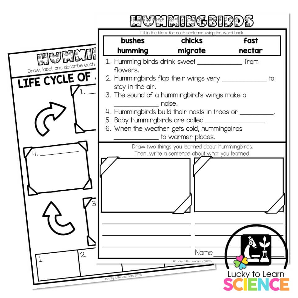 Lucky to Learn Science - Hummingbirds - One-Pager - Lucky Little Learners