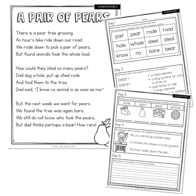 Phonics Poems - Homophones - Lucky Little Learners