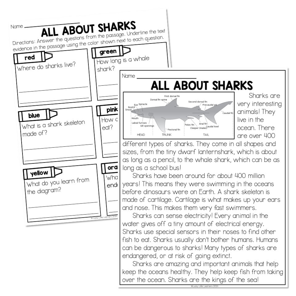 Nonfiction Reading Passage - All About Sharks - Lucky Little Learners