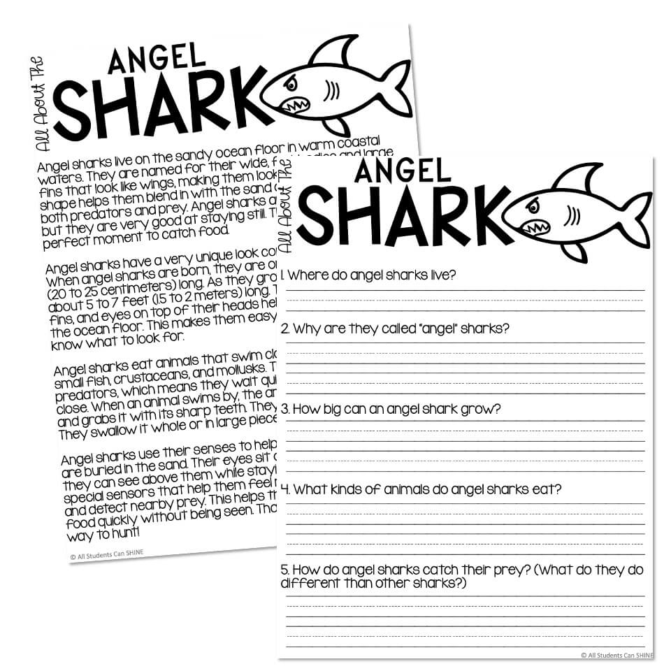 Ocean Animals Unit – Reading Comprehension Pages – Angel Shark - Lucky ...