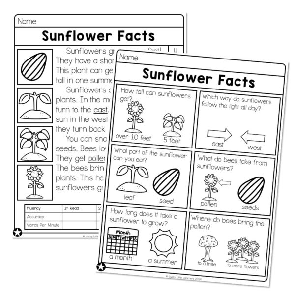1st Grade Reading Fluency Passages and Questions - May - Nonfiction ...
