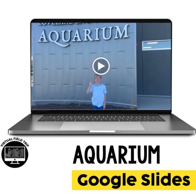 Virtual Field Trip - Aquarium - Lucky Little Learners